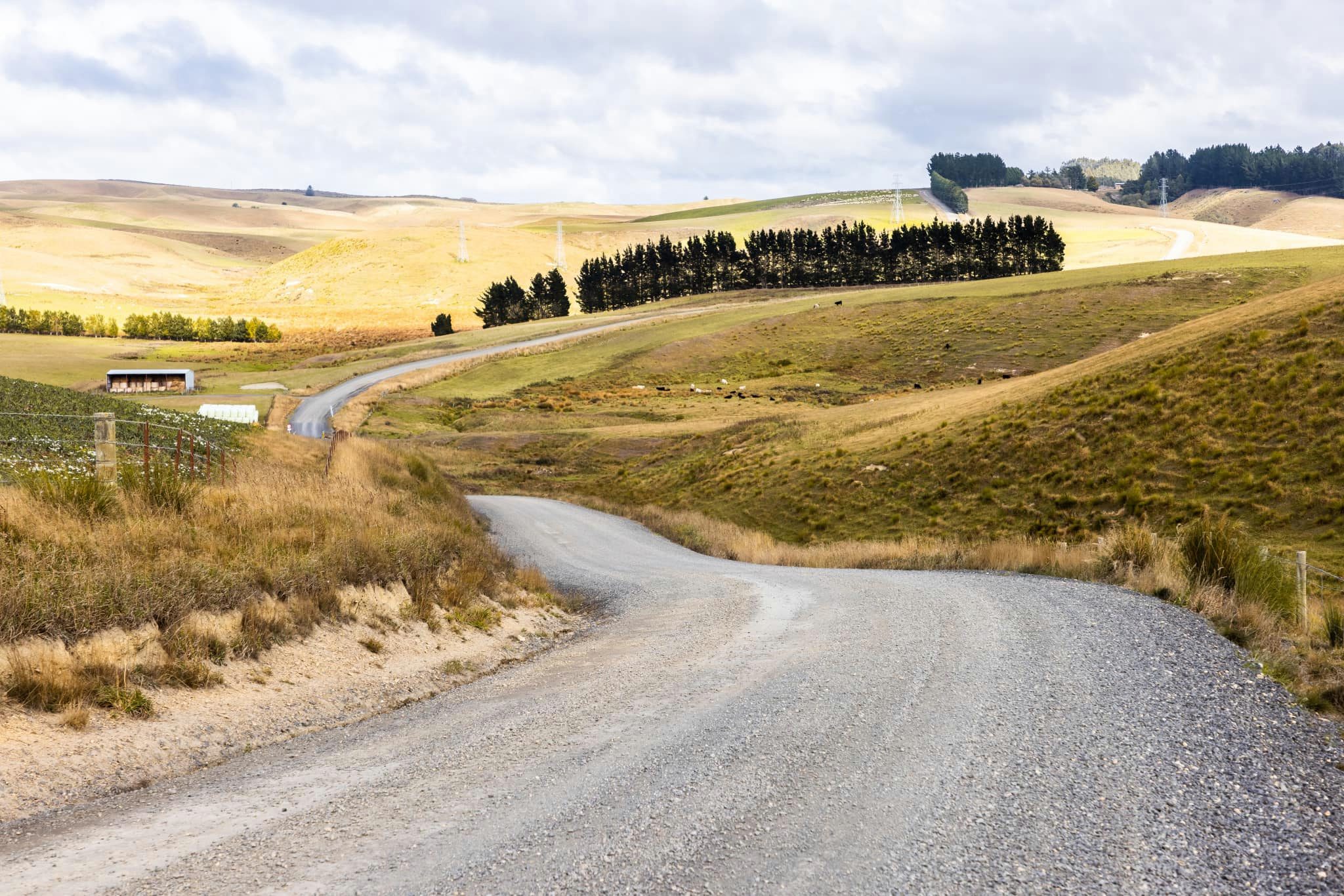 Two injured in Rally Otago crash, car reportedly catches fire ...