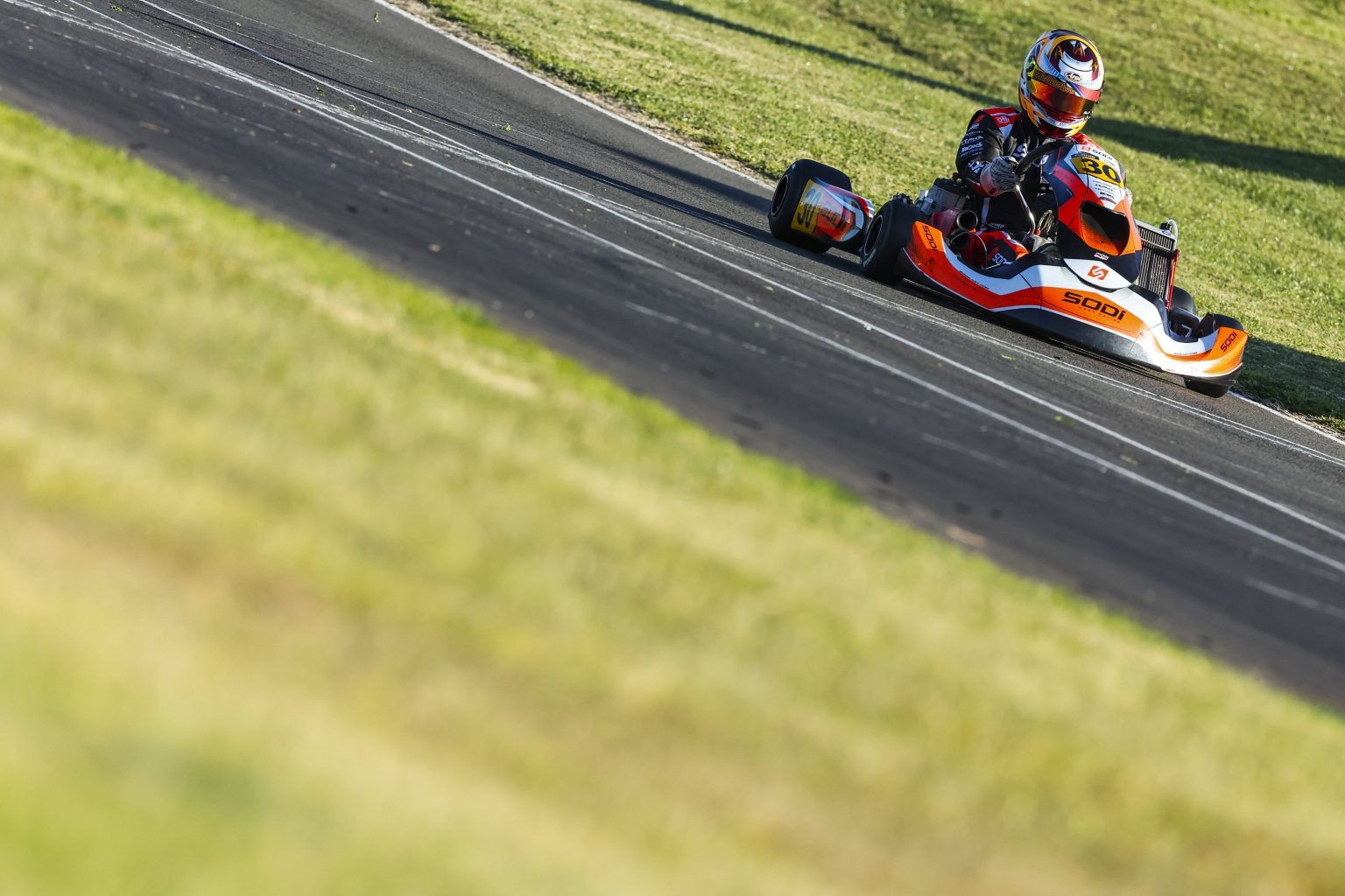 Positive Blossom renews excitement in iconic event - VelocityNews